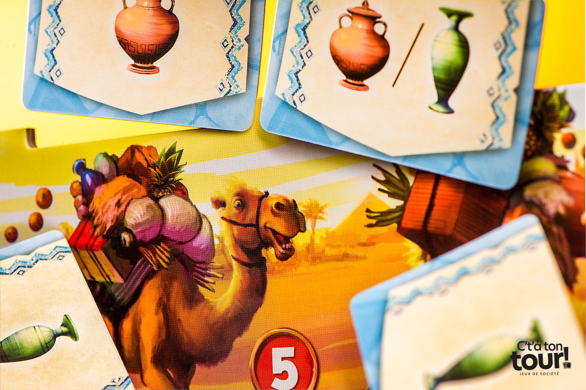 Camel Up - Off Season, avis et chronique de jeu - Meeple QC