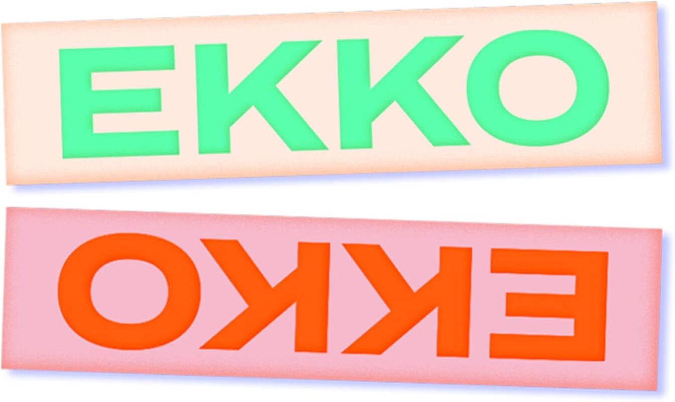Ekko, avis, critique et test de jeu - Meeple QC